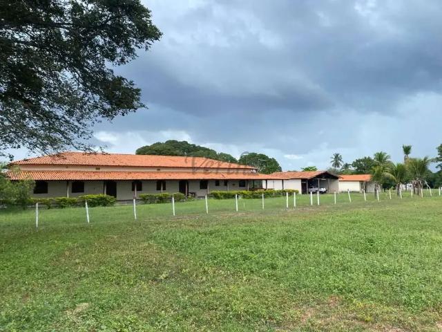 Fazenda para Venda em Januária/MG Centro 5 Quartos