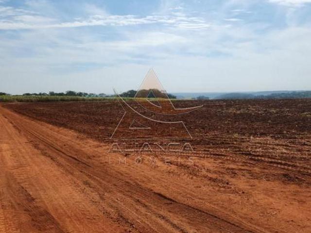 Fazenda para venda em Jardim Novo Ribeirão, Ribeirão Bonito
