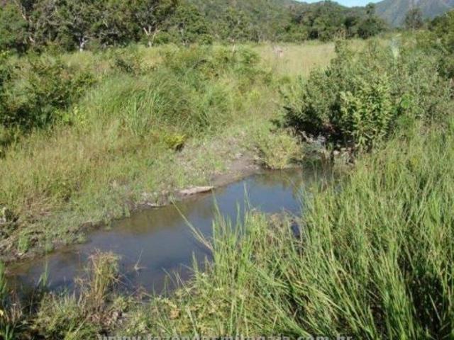 Fazenda para venda em Jardim Guanabara, Goiânia