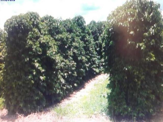 Fazenda para venda em Jardim Santo Elias, São Paulo