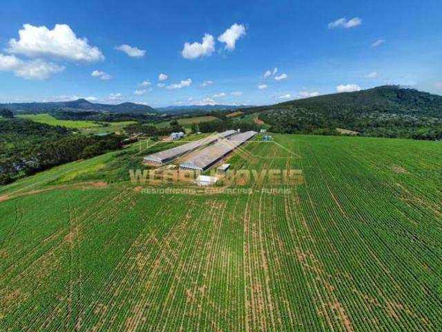 Fazenda para venda em Jardim Vista Alegre, Bragança Paulista