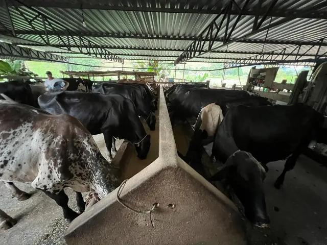 Fazenda para Venda em Jerônimo Monteiro/ES Centro