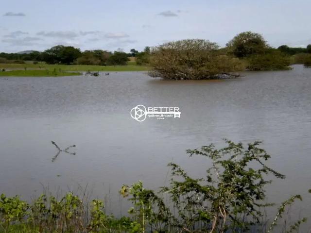 Fazenda para Venda em Juvenília/MG Zona Rural 6 Quartos