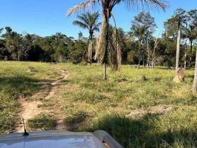 Fazenda para Venda em Juara/MT Zona Rural