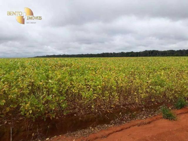 Fazenda para Venda em Juína/MT Zona Rural