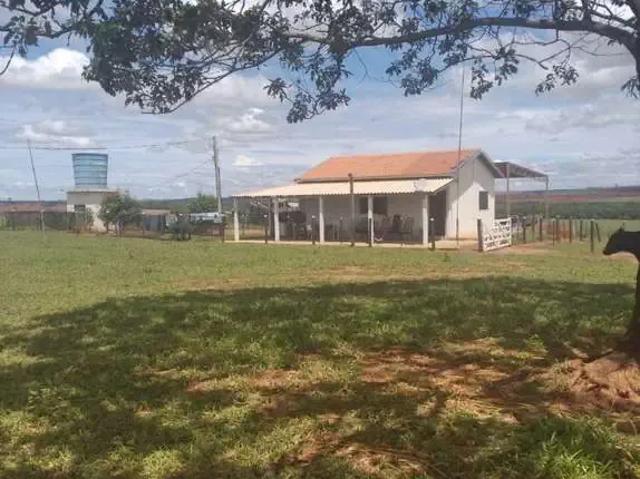 Fazenda para Venda em Junqueirópolis/SP Zona Rural
