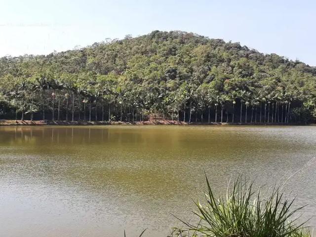 Fazenda para Venda em Juquiá/SP Zona Rural