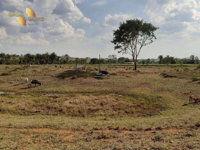 Fazenda para Venda em Juscimeira/MT Zona Rural