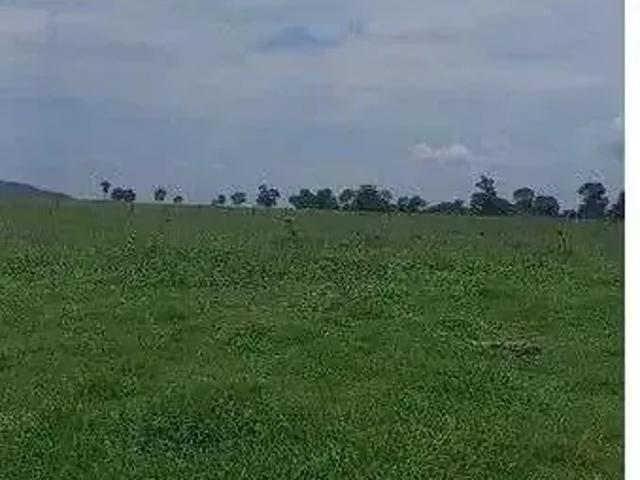 Fazenda para Venda em Jussara/GO Zona Rural 3 Quartos