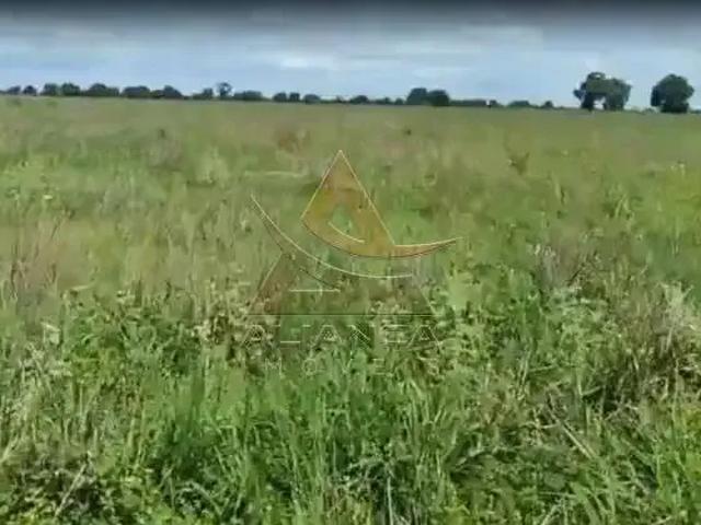 Fazenda para Venda em Jussara/GO Zona Rural 1 Quartos