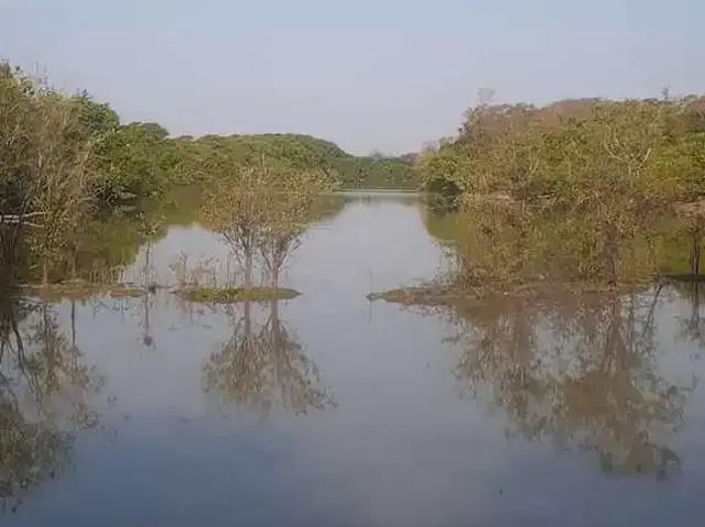 Fazenda para Venda em Jussara/GO Zona Rural