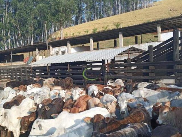 Fazenda para venda em Olaria, Lorena