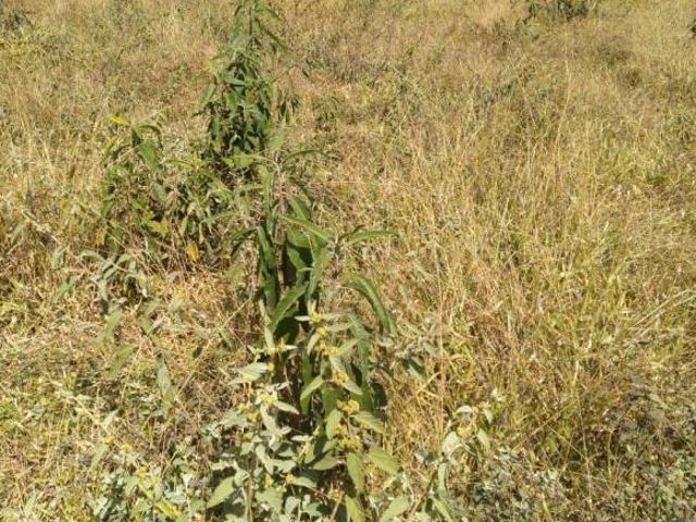 Fazenda para venda em Oliveira