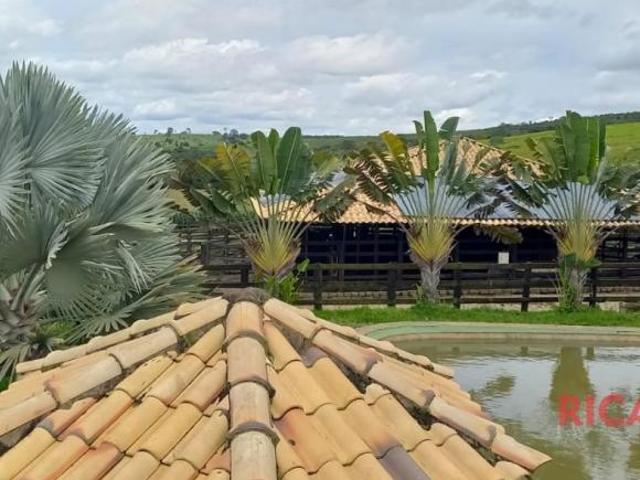 Fazenda para Venda em Oliveira, Oliveira, 3 dormitórios, 2 banheiros, 4 vagas