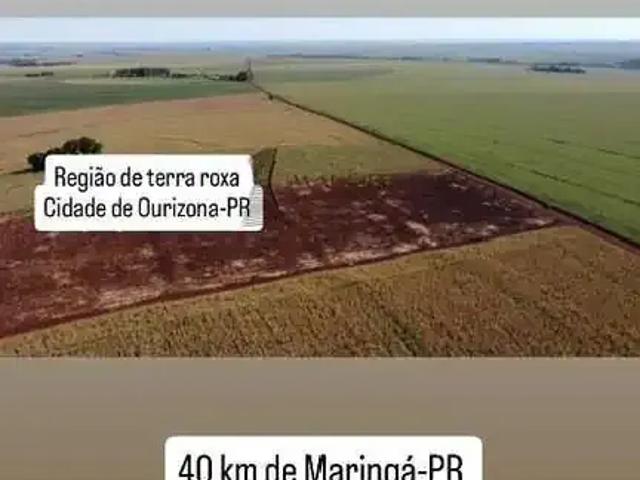 Fazenda para Venda em Ourizona/PR Ourizona
