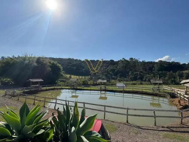 Fazenda para Venda em Ouro Branco/MG Zona Rural 6 Quartos