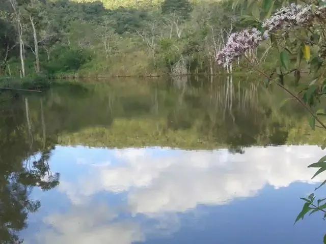 Fazenda para Venda em Ouro Branco/MG Marimbondo