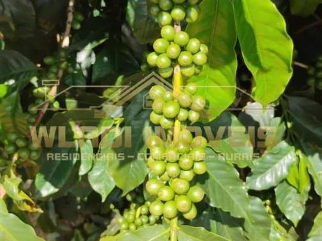 Fazenda para Venda em Ouro Fino, 01 k