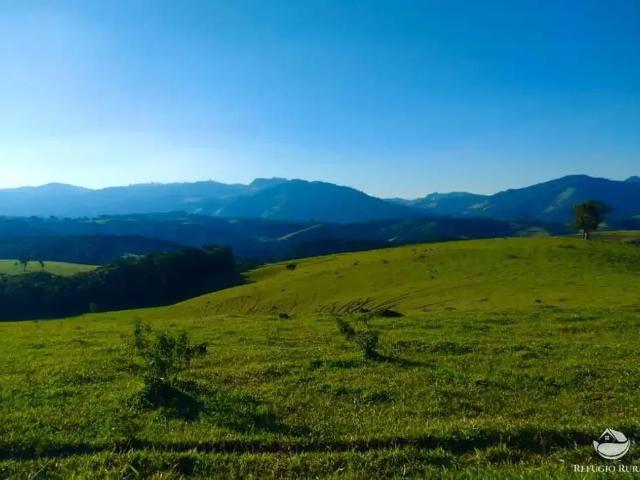 Fazenda para Venda em Ouro Fino/MG Centro 1 Quartos