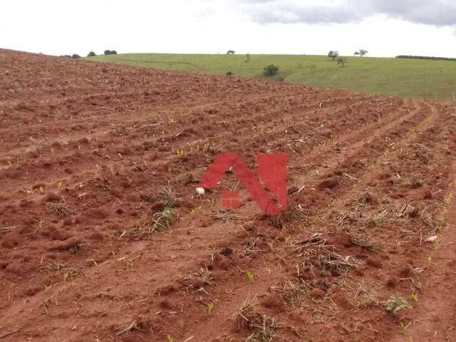 Fazenda para Venda em Ouro Fino/MG São José do Mato Dentro