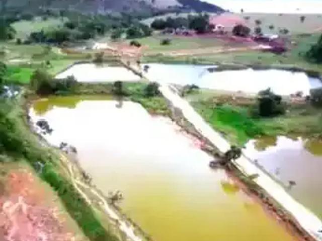 Fazenda para Venda em Ouro Fino/MG Zona Rural 3 Quartos