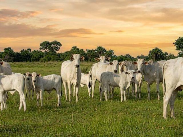 Fazenda para venda em Loteamento Alphaville Cuiabá, Cuiabá