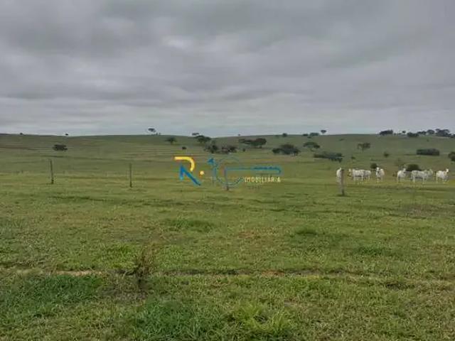Fazenda para Venda em Londrina/PR Área Rural de Londrina