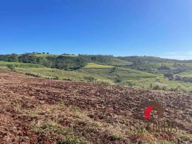 Fazenda para Venda em Londrina/PR Ouro Branco