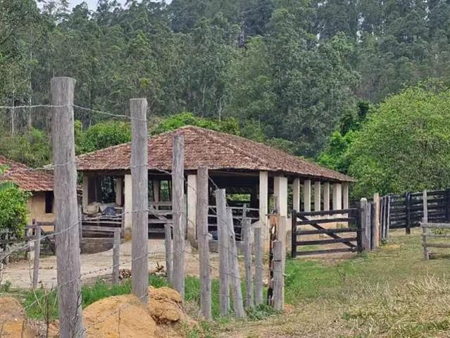 Fazenda para Venda em Lavrinhas/SP Zona Rural 2 Quartos