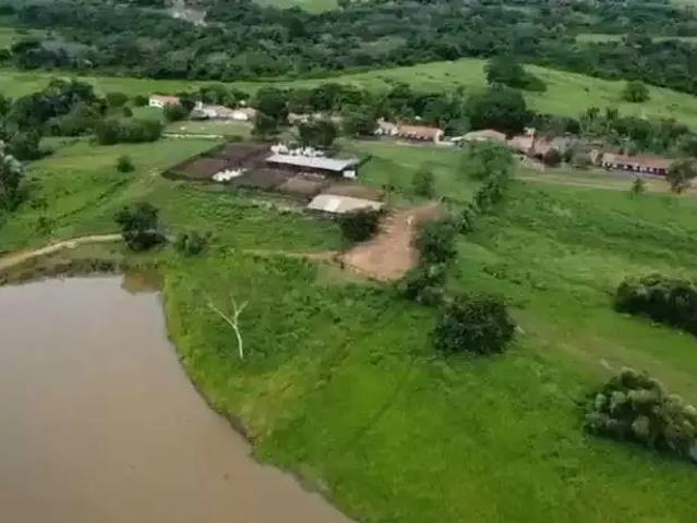 Fazenda para Venda em Lago da Pedra/MA Zona Rural