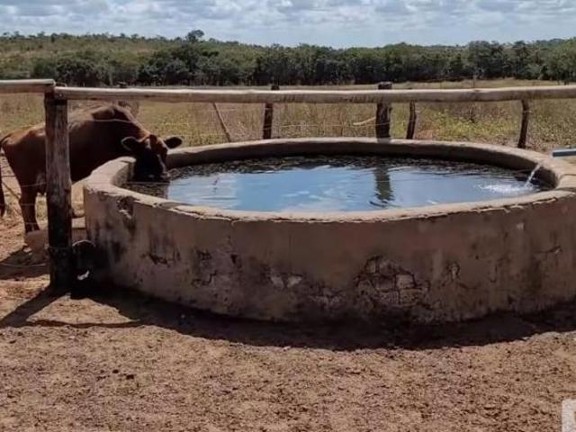 Fazenda para venda em Lagoa Grande