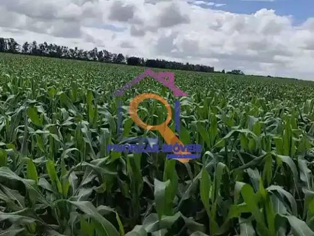 Fazenda para Venda em Lagoa Grande/MG Zona Rural 3 Quartos