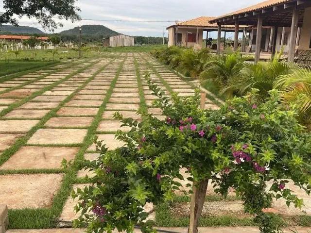 Fazenda para Venda em Lagoa do Mato/MA Zona Rural