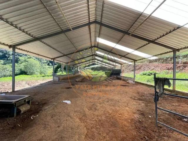 Fazenda para Venda em Lagoinha/SP Centro 3 Quartos