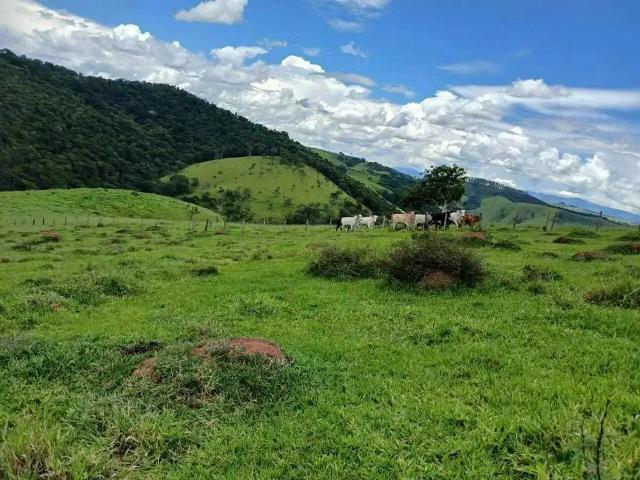 Fazenda para Venda em Lagoinha/SP Centro