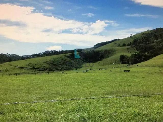 Fazenda para Venda em Lagoinha/SP Centro 4 Quartos