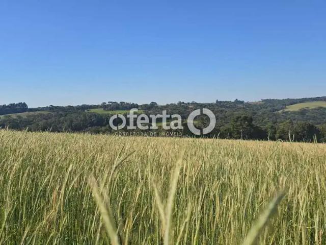 Fazenda para Venda em Lapa/PR Mato Preto