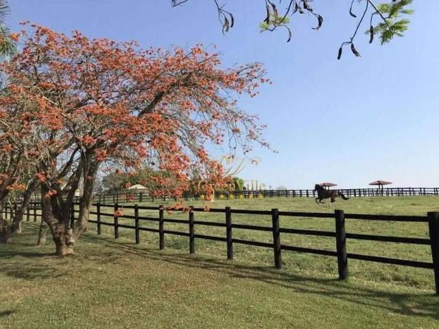 Fazenda para Venda em Lapa/PR Centro 4 Quartos