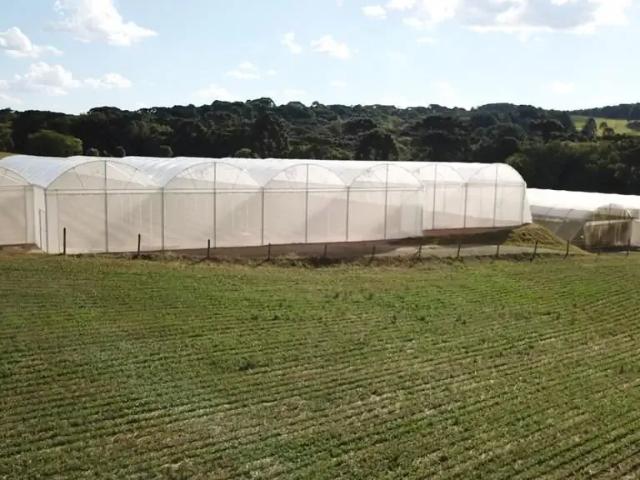 Fazenda para Venda em Lapa/PR Centro