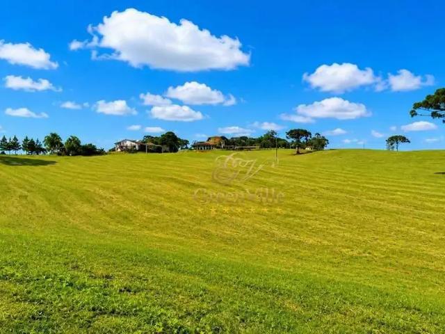 Fazenda para Venda em Lapa/PR Centro 3 Quartos