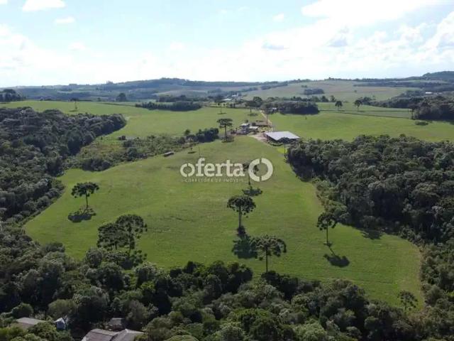 Fazenda para Venda em Lapa/PR Faxinal dos Castilhos 3 Quartos