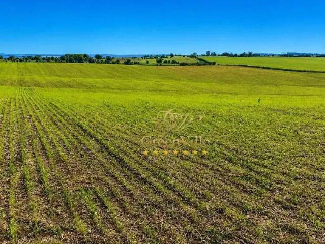 Fazenda para Venda em Lapa/PR Zona Rural