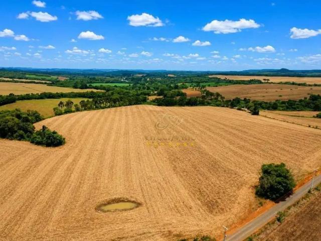 Fazenda para Venda em Lapa/PR Zona Rural