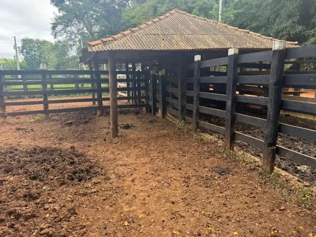 Fazenda para Venda em Laranja da Terra/ES Centro