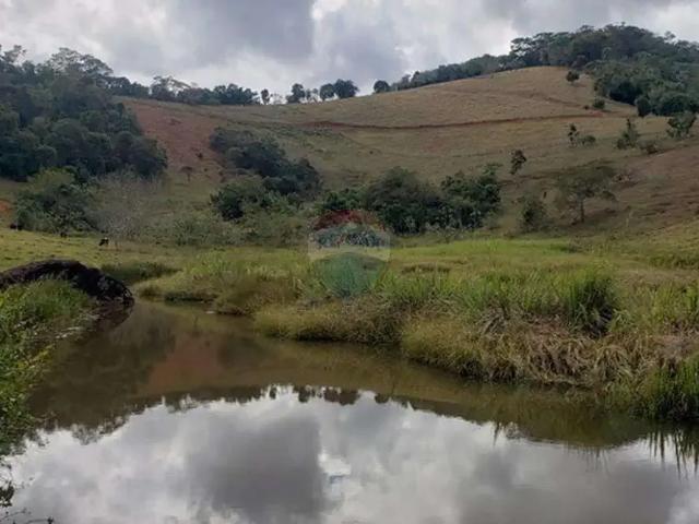 Fazenda para Venda em Laranjal/MG Centro 1 Quartos