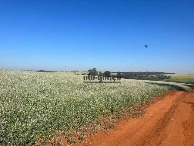 Fazenda para Venda em Lençóis Paulista/SP Zona Rural