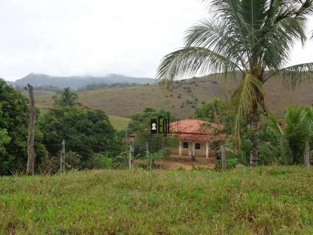 Fazenda para Venda em Leopoldina/MG Centro 5 Quartos