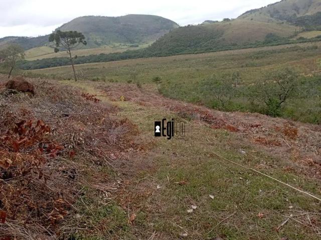 Fazenda para Venda em Liberdade/MG Zona Rural 1 Quartos