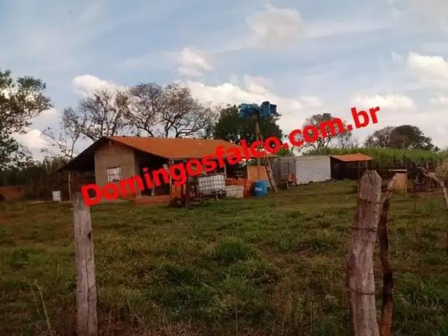 Fazenda para Venda em Limeira/SP Bairro do Pinhal