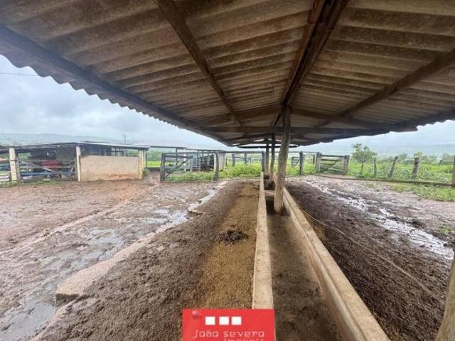 Fazenda para Venda em Luziânia, Área Rural de Luziânia, 4 dormitórios, 1 suíte, 3 banheiros